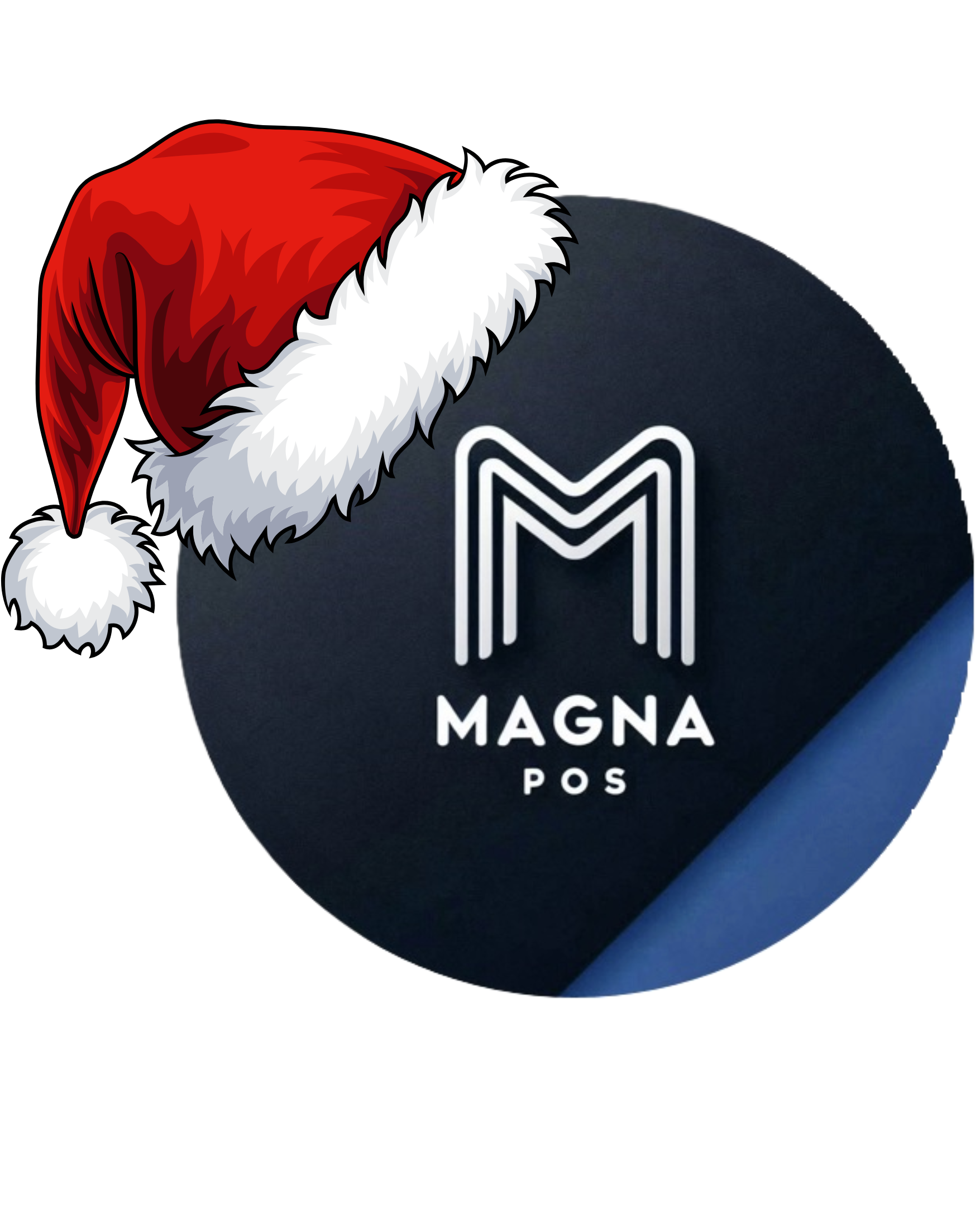 Login - Magna POS